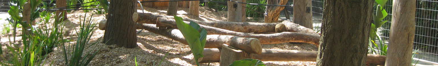 Monkey Play, Werribee Open Range Zoo Landscape Architecture & Design ...